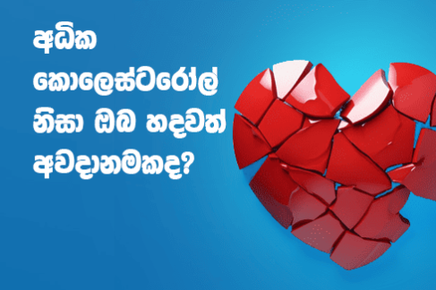 Best Private Hospital in Sri Lanka | Hospitals in Colombo Sri Lanka ...